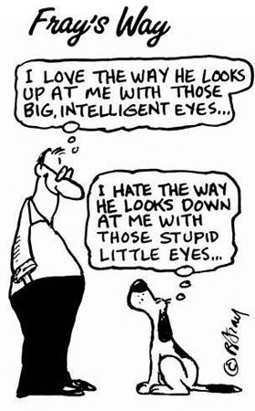 Brian Fray - Lambiek Comiclopedia