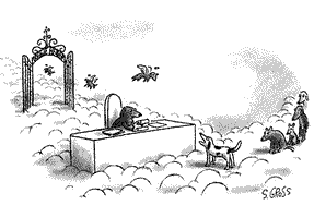 Sam Gross - Lambiek Comiclopedia